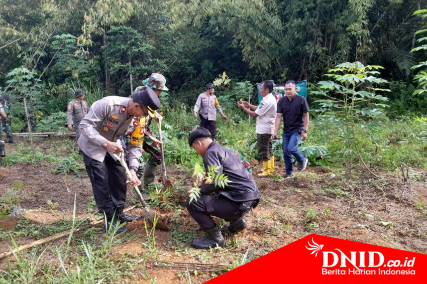 Hari Juang Kartika TNI AD: Dandim 1414 Toraja dan Pemda Hijaukan Lahan Kritis Ratusan Pohon ...