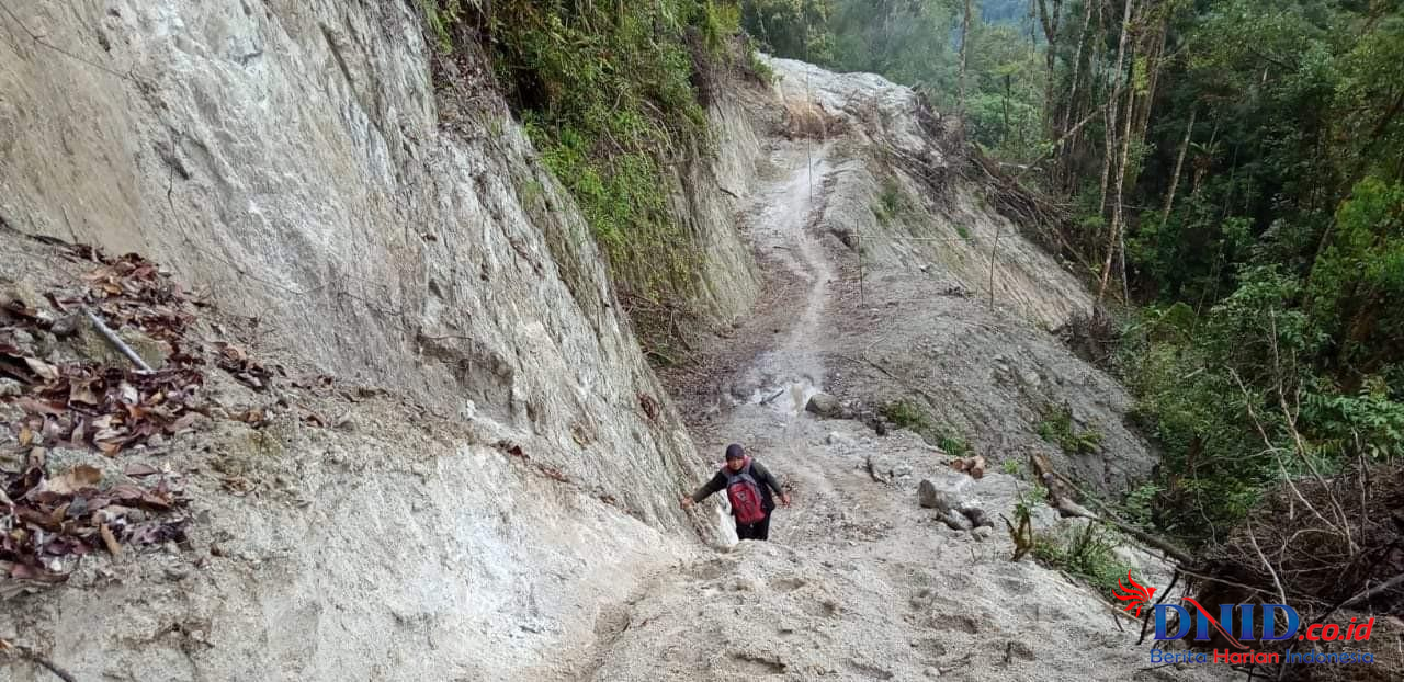 Mengenal Suku Rampi, Satu Suku Terisolir di Luwu Utara yang Terancam ...